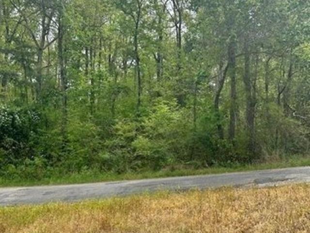 County 3902 Rd Lot 11, Arley, AL 35541