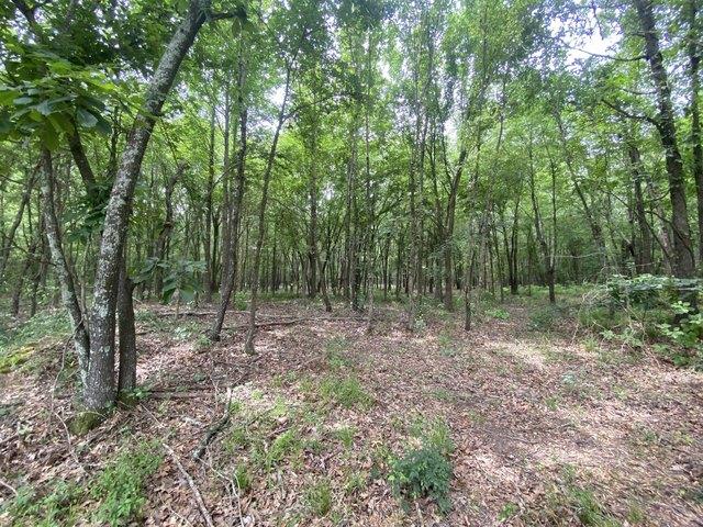 County 3920 Rd Lots 10 & 11, Mount Pleasant, TX 75455