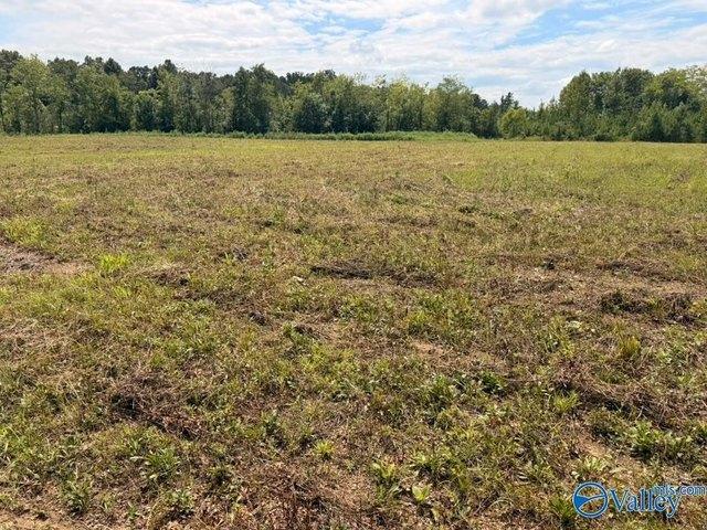 County 39 Rd Lot 15, Piedmont, AL 36272