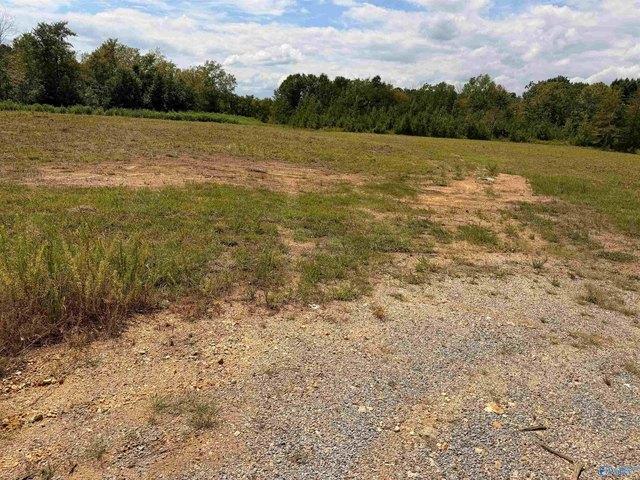 County 39 Rd Lot 16, Piedmont, AL 36272