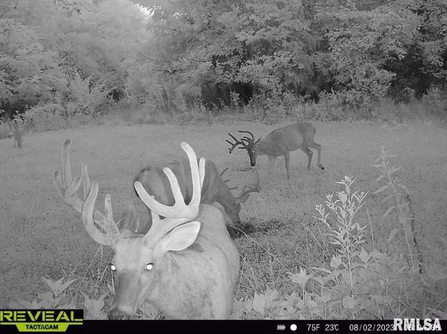 County 7 Hwy, Cisne, IL 62823