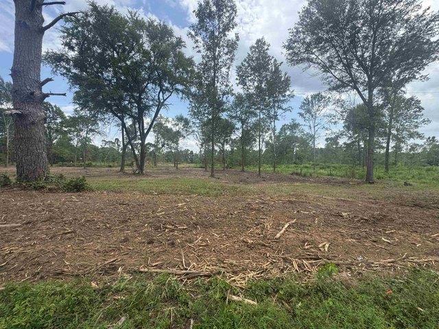 County 4108 Tbd Rd Lot 5, Henderson, TX 75654