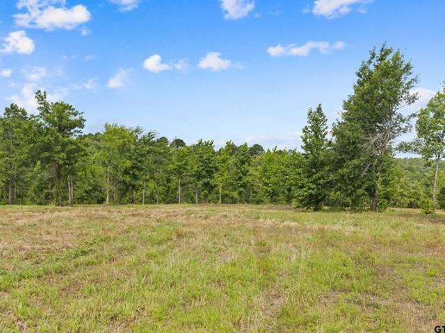 County 4112 Rd Lot 2, Lindale, TX 75771