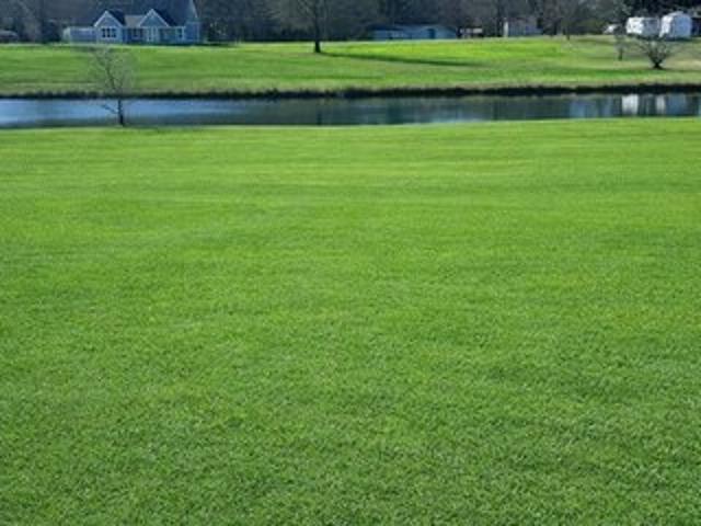 County 429 Rd Lot 10, Clanton, AL 35045