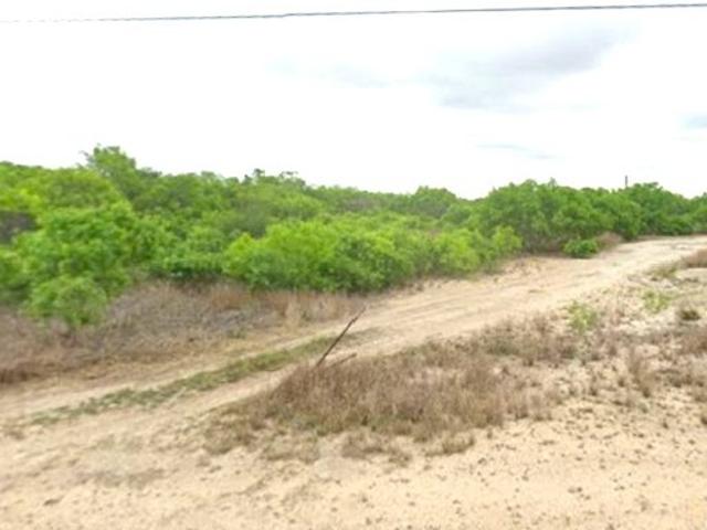 County 421 Rd Lot 1969, Jourdanton, TX 78026