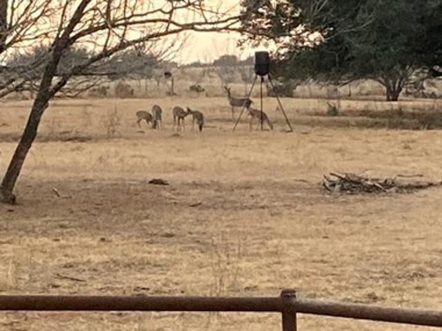 County 430 Rd Lot 0, Pleasanton, TX 78064