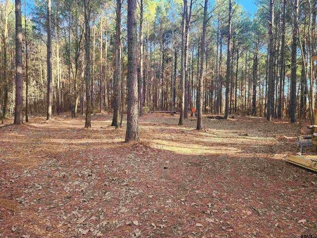 County 4313 Rd Lot 6, Pittsburg, TX 75686