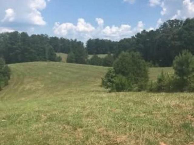 County 454 Rd Lot 1, Clanton, AL 35045