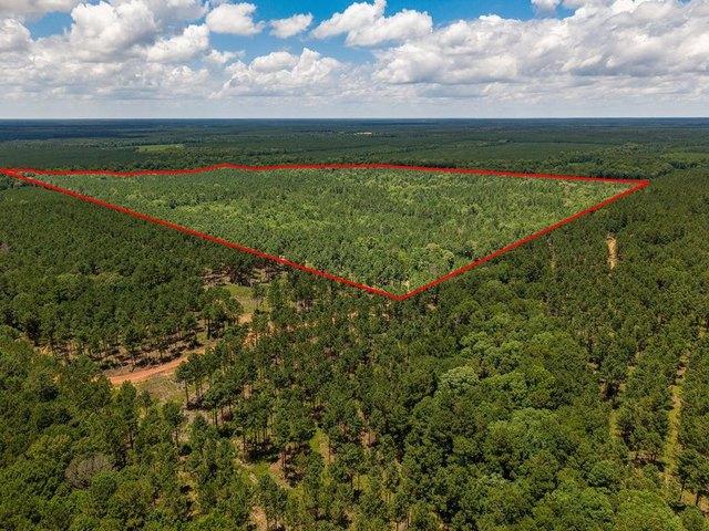 County 460 Rd Parcel 12446, Etoile, TX 75944
