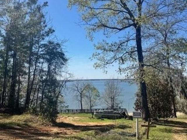 County 497 Rd Lot 25, Etoile, TX 75944