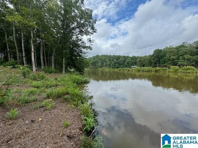 County 499 Rd Lot 9, Woodland, AL 36280