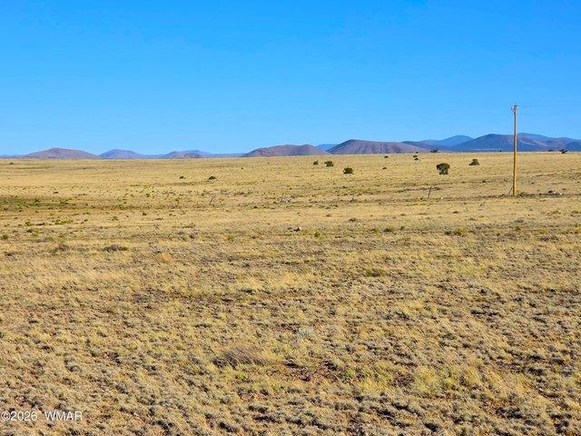 County 5074 Rd Lot 4, Concho, AZ 85924