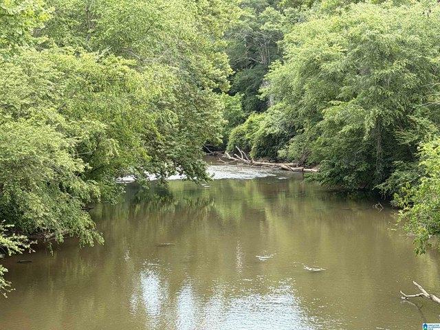 County 509 Rd Lot 1, Woodland, AL 36280