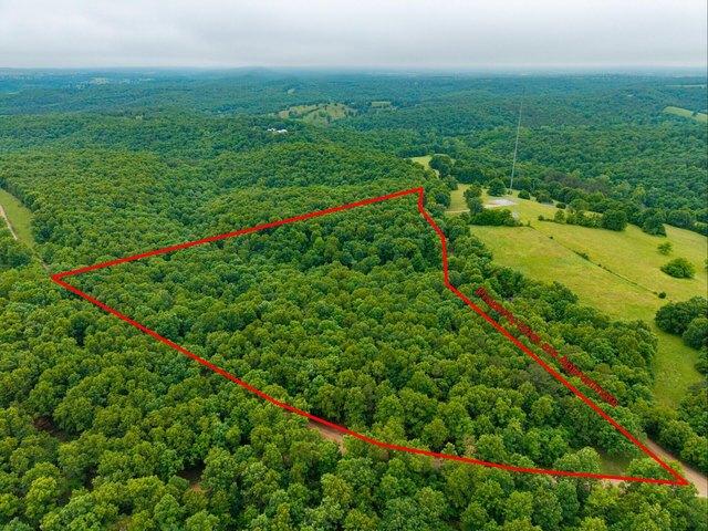 County 519 Rd Unit TRACT3, Hardenville, MO 65666