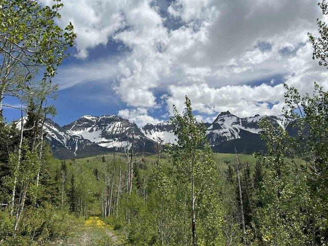 County Road 5, Ridgway, CO 81432