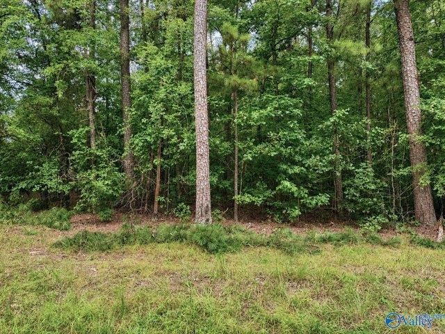 County 608 Rd Lot 80, Cedar Bluff, AL 35959