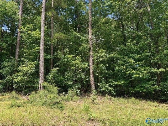 County 608 Rd Lot 81, Cedar Bluff, AL 35959
