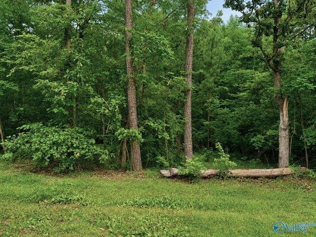 County 608 Rd Lot 34, Cedar Bluff, AL 35959