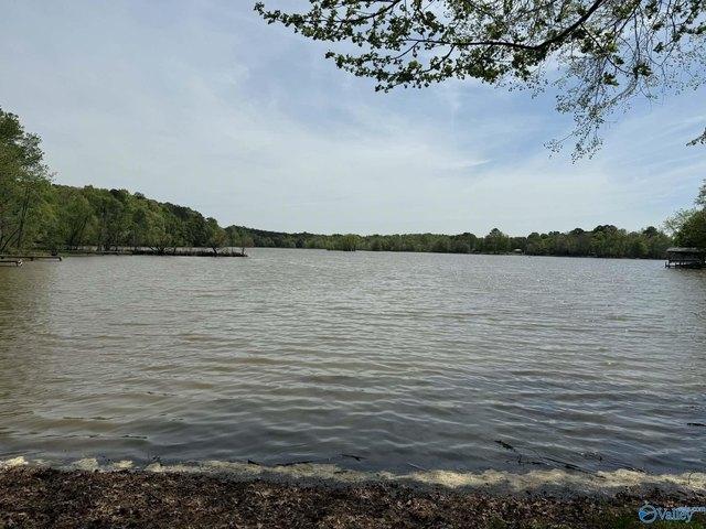 County 609 Rd Lot 10, Centre, AL 35960
