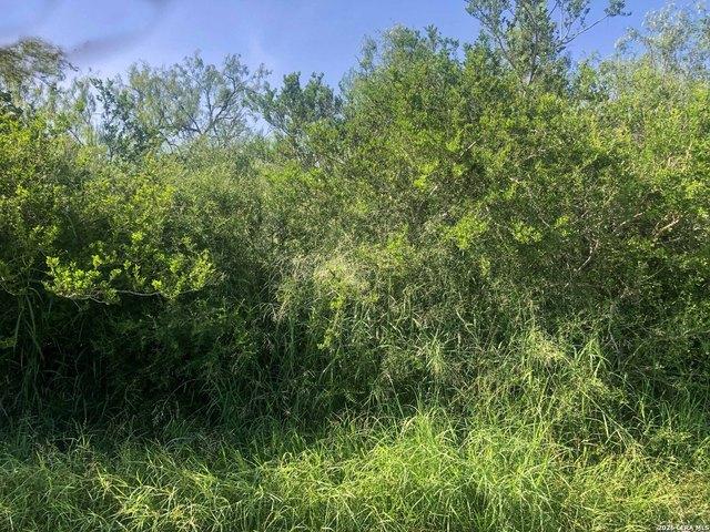 County 619 Rd Lot 36 37, Skidmore, TX 78389