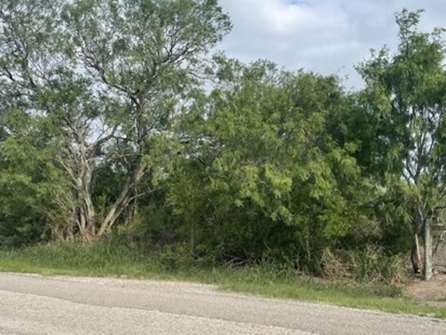 County 613 Rd Lot 12, Skidmore, TX 78389