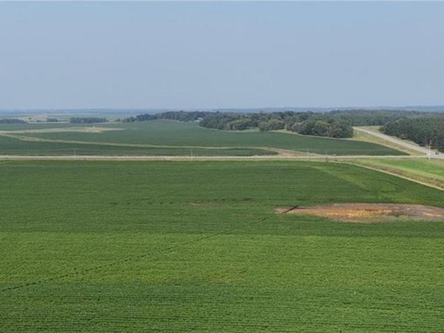County 61, Browerville, MN 56438