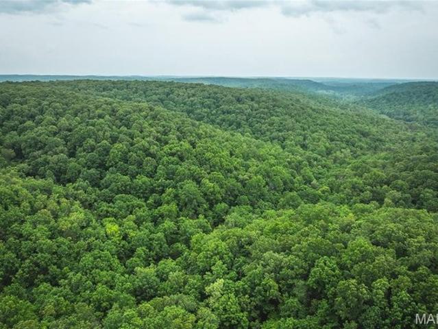 County 6280 Tract Rd # 1, Jadwin, MO 65502