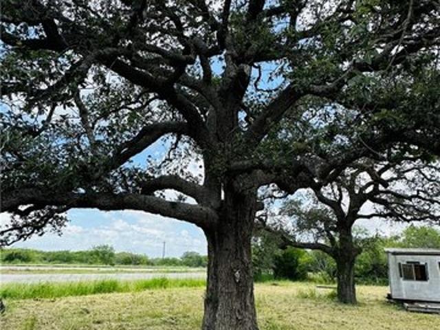County 623 Rd Lot 10A and 624, Skidmore, TX 78389