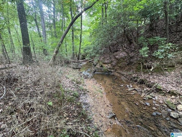 County 639 Ac Rd Lot 33, Roanoke, AL 36274
