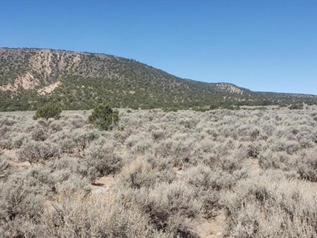 County 6 Ln Lot 589, Fort Garland, CO 81133