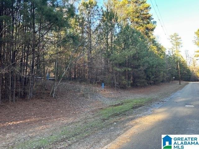 County 730 Rd Lot 1, Clanton, AL 35045
