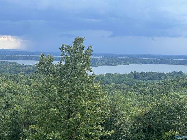 County 767 Rd Lot 40, Cedar Bluff, AL 35959