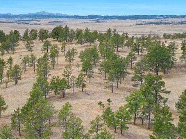County 77 Rd Parcel A, Calhan, CO 80808