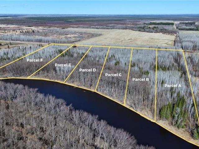 County 79 Rd Lot B, Littlefork, MN 56653