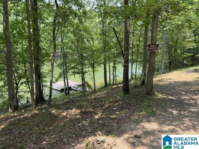 County 803 Rd Lot 0, Wedowee, AL 36278