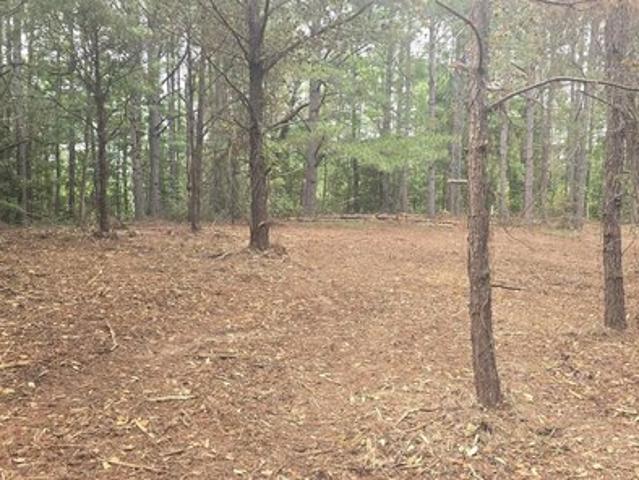 County 82 Rd Lot 1, Lawley, AL 36793