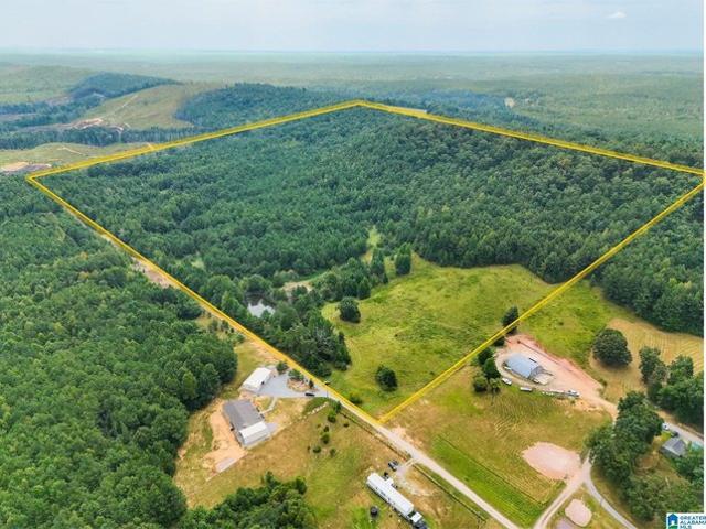 County 835 Rd Lot 0, Clanton, AL 35046