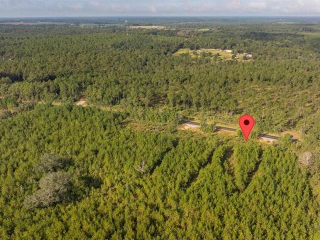 County 87 Lot Cc Ph 4 Rd Lot 2, Robertsdale, AL 36567