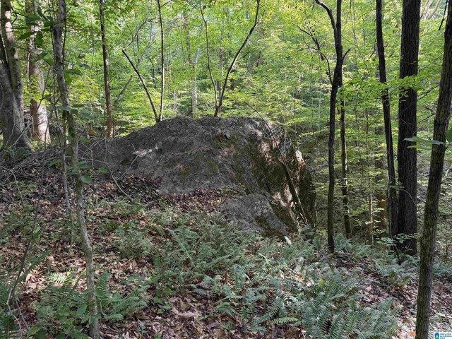 County 87 Rd Lot 2, Roanoke, AL 36274