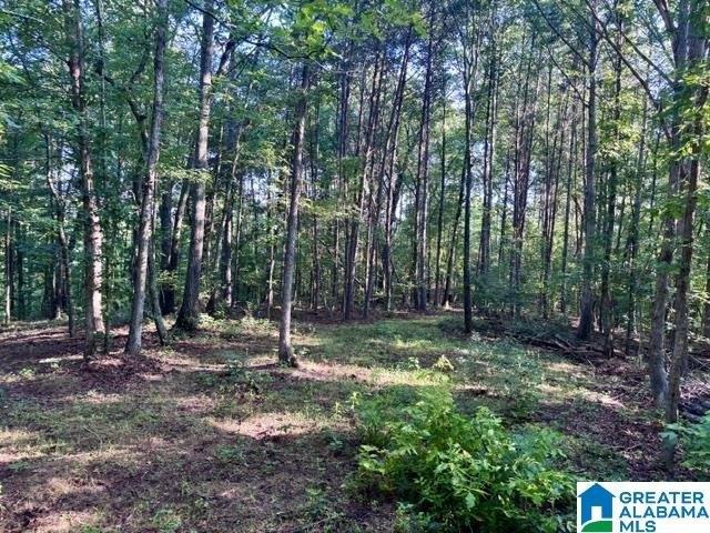County 88 Rd Lot 10, Delta, AL 36258