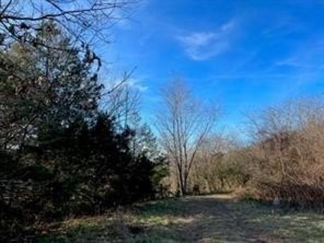 County 909 Rd Lot 33 19, Green Forest, AR 72638