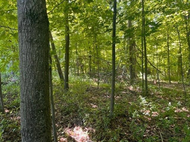 County Bb Rd Lot 2, Woodville, WI 54028