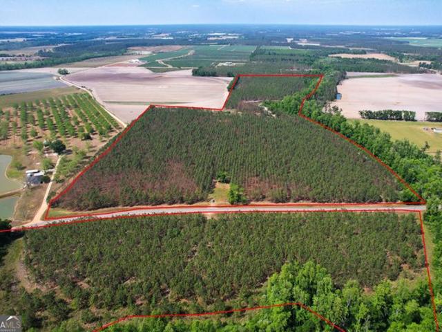 County Farm Rd, Baxley, GA 31513