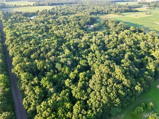 County Farm Rd, Kell, IL 62853