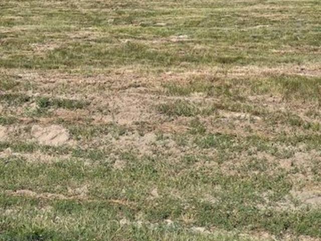 County Hh1 Rd Lot 1, Wray, CO 80758