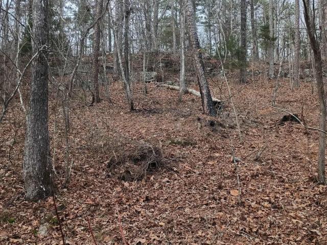 4615 County Highway 26 # Lot