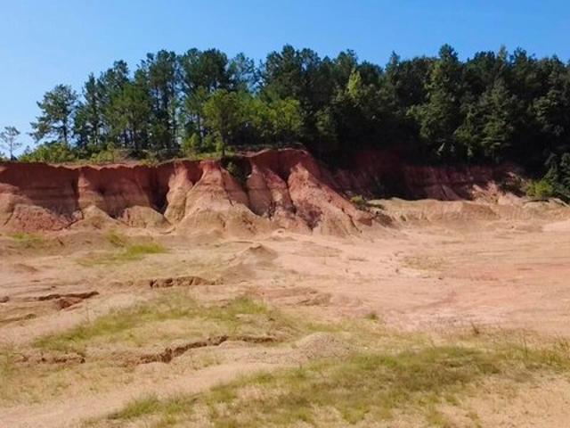 County Highway 31, Winfield, AL 35594