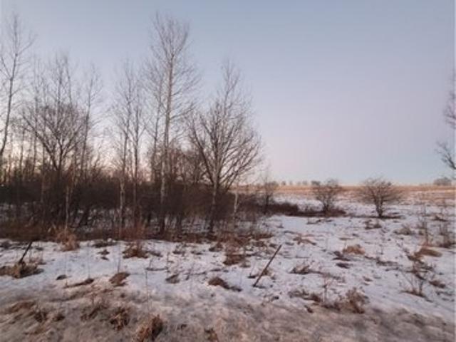 County Highway B Lot 2, Neillsville, WI 54456
