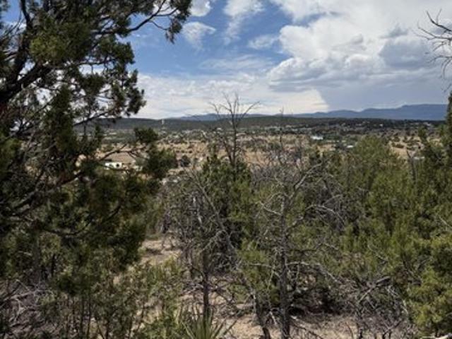 County Line Rd, Edgewood, NM 87015