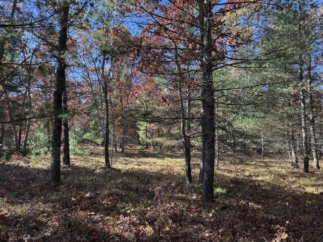 County Line Rd Parcel 3, Free Soil, MI 49411